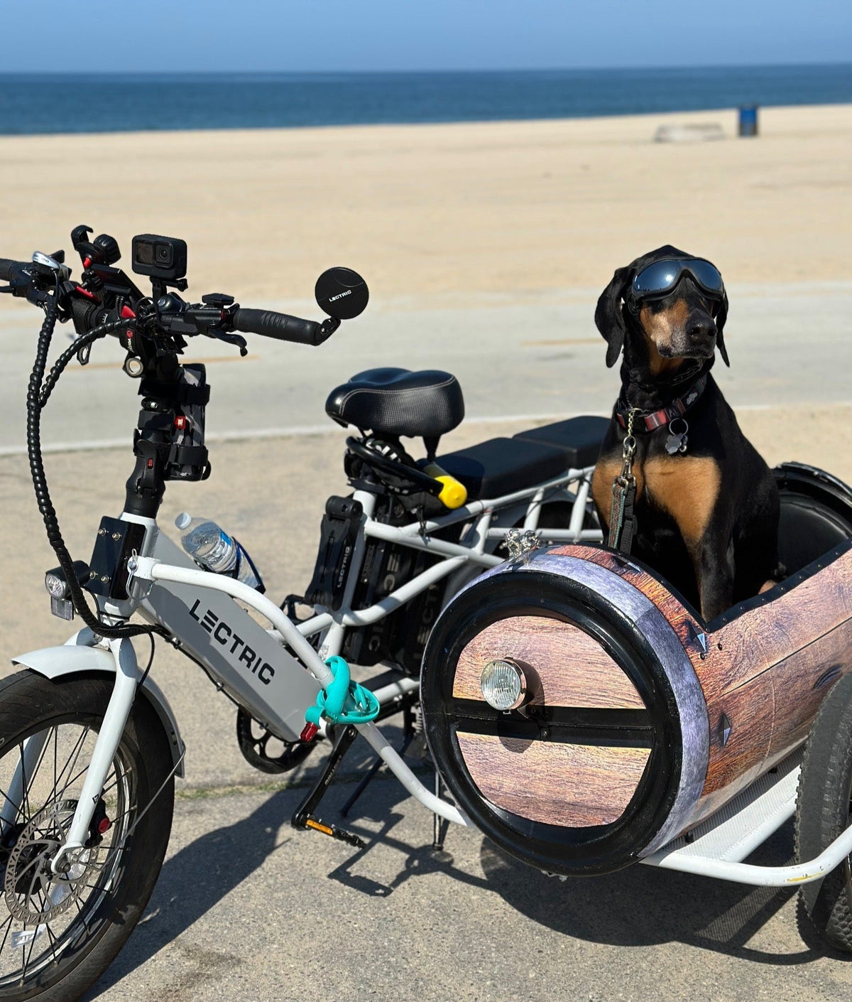 Bicycle Sidecar For Dog